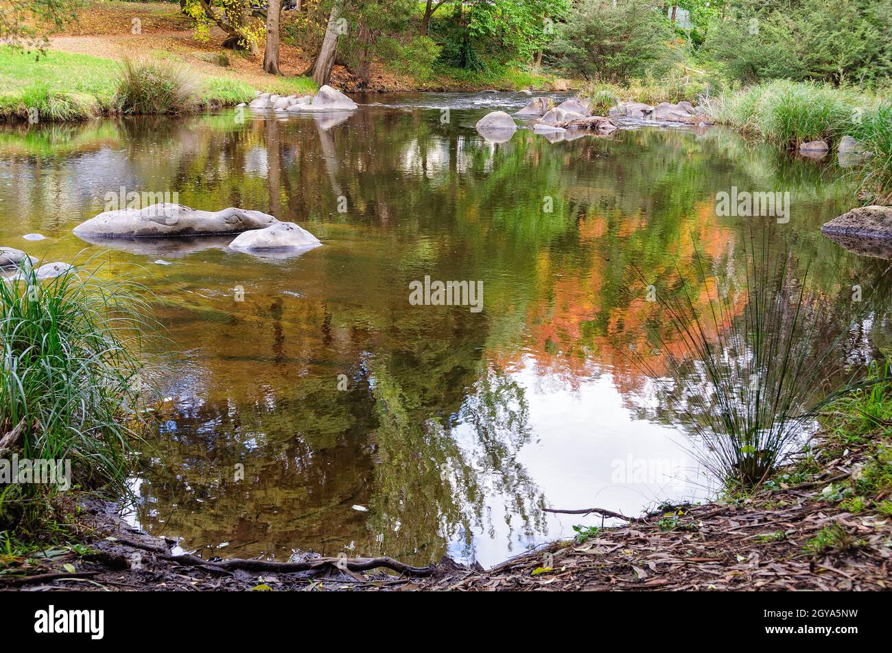 Clear water of the upper Yarra River - Warburton, Victoria, Australia ...