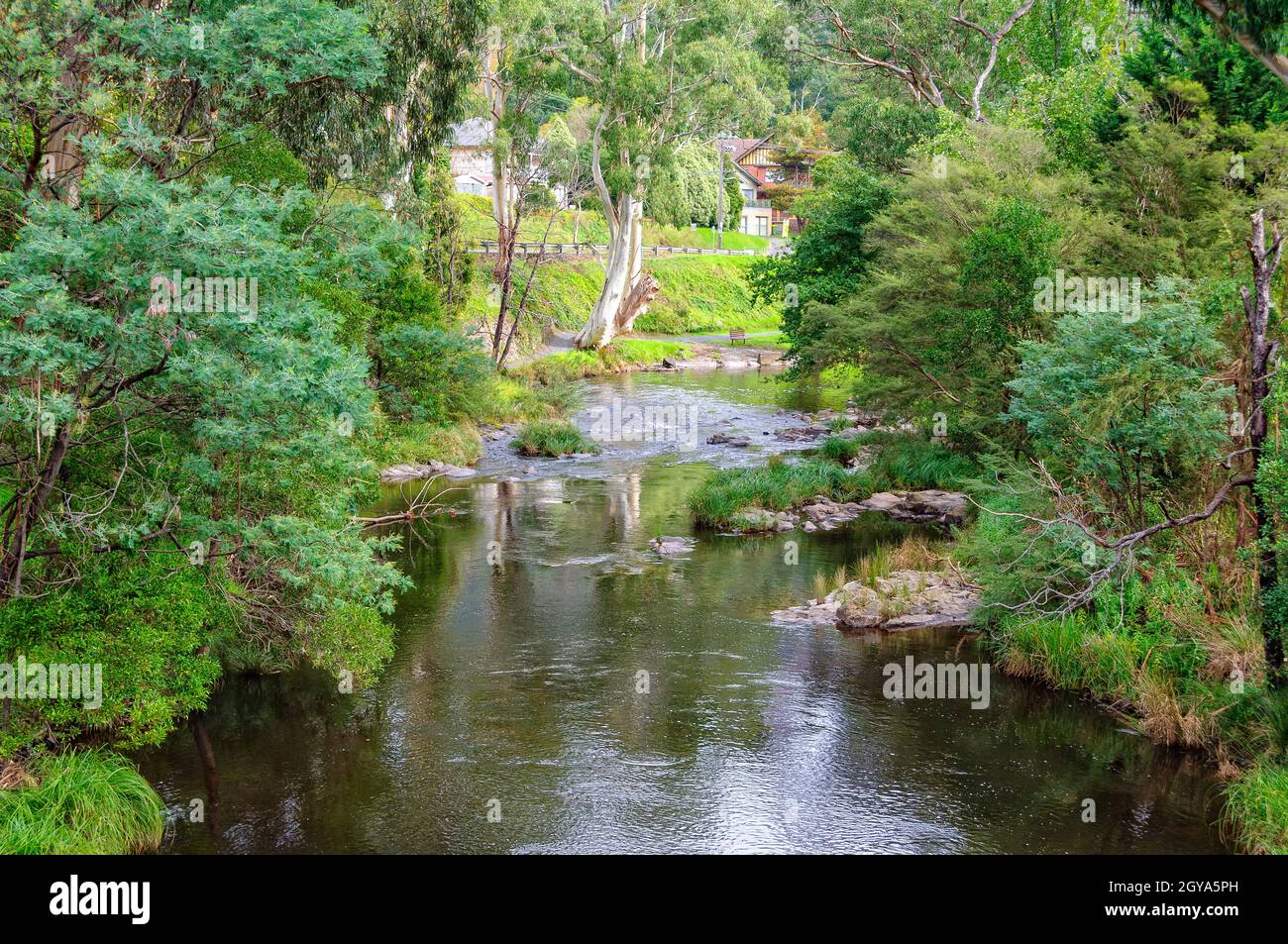 Clear water of the upper Yarra River - Warburton, Victoria, Australia ...
