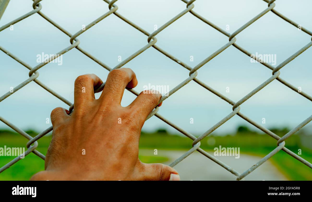Man hand holding metal chain link fence. Refugee and immigrant concept ...