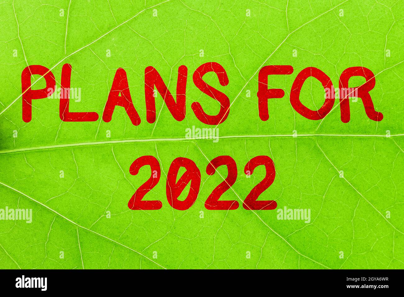 Conceptual caption Plans For 2022, Business showcase an intention or ... Conceptual caption Plans For 2022, Business showcase an intention or ...