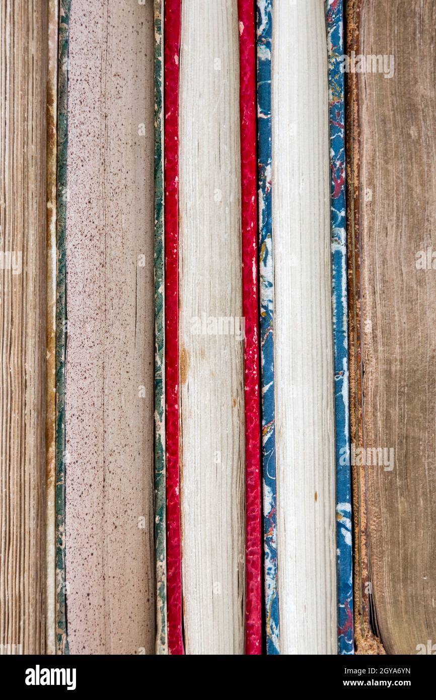 Row of old books close up view Stock Photo - Alamy