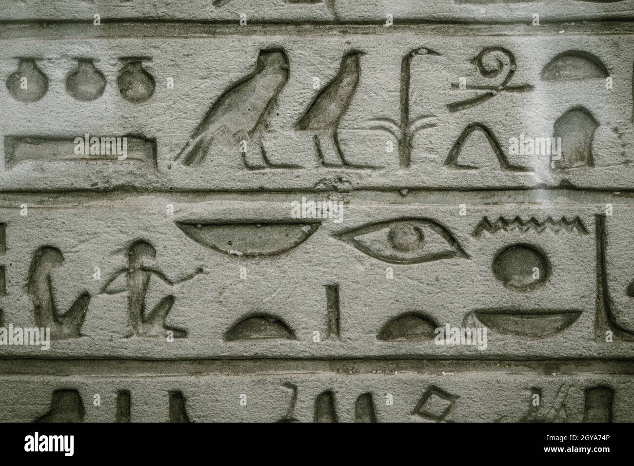 Close up of ancient egyptian hieroglyphics of people and animals ...