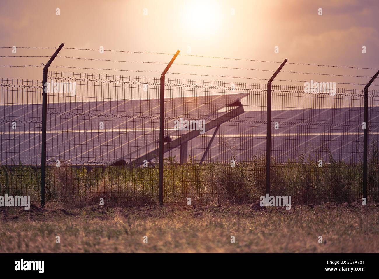 solar panels in the middle of a field on a sunny day, Ukraine Stock ...