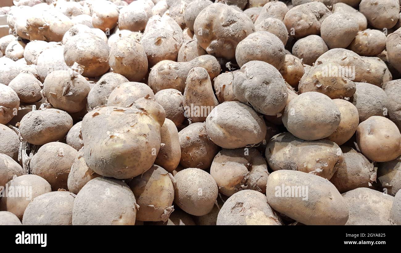 fresh potato with traces of earth on the skin, raw potatoes Stock Photo ...