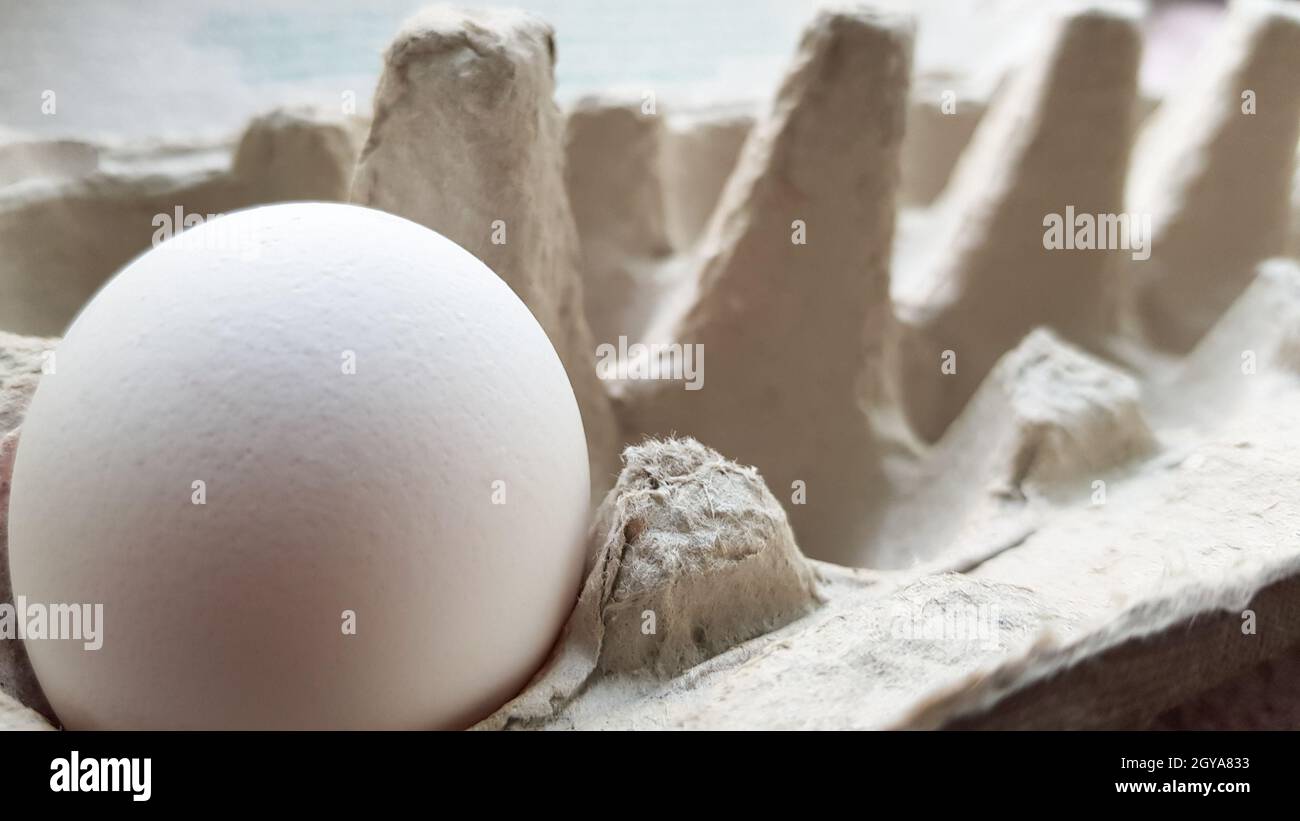 Egg carton eggs only hi-res stock photography and images - Alamy
