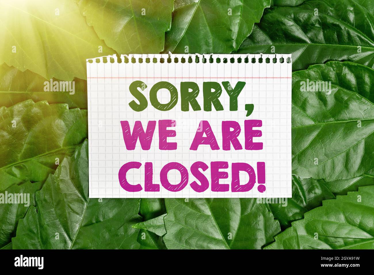 Hand writing sign Sorry, We Are Closed, Business concept apologize for ...
