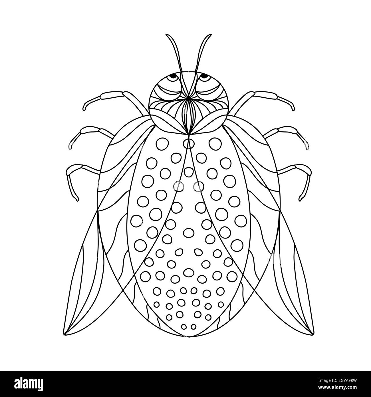 Beautiful mockup for print design. Isolated background. Cute insects ...