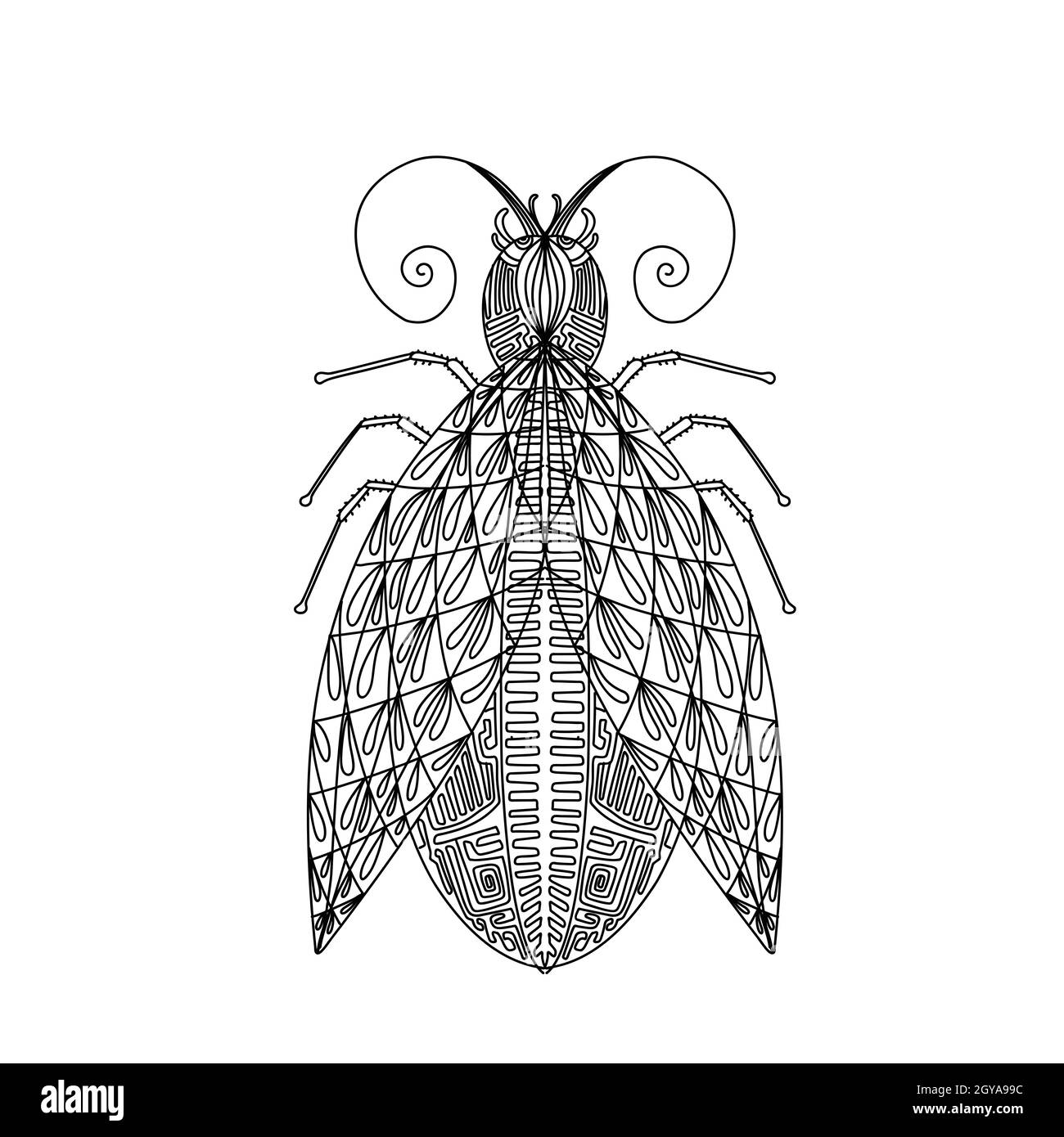 Beautiful mockup for print design. Isolated background. Cute insects ...