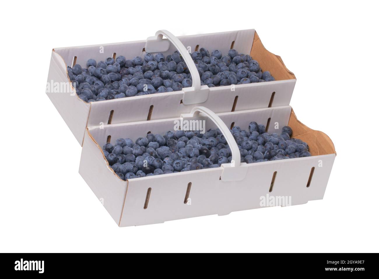 Closeup of fresh blueberries filled in two paper baskets isolated on a ...