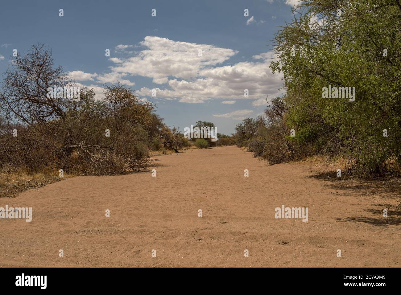 dry river in the south of Karibib, Erongo, Namibia Stock Photo - Alamy