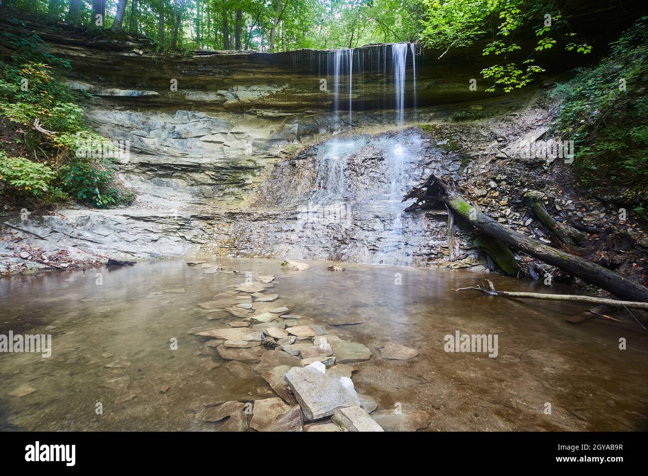 Circular waterfall with a stone path in its basin within a forest Stock ...