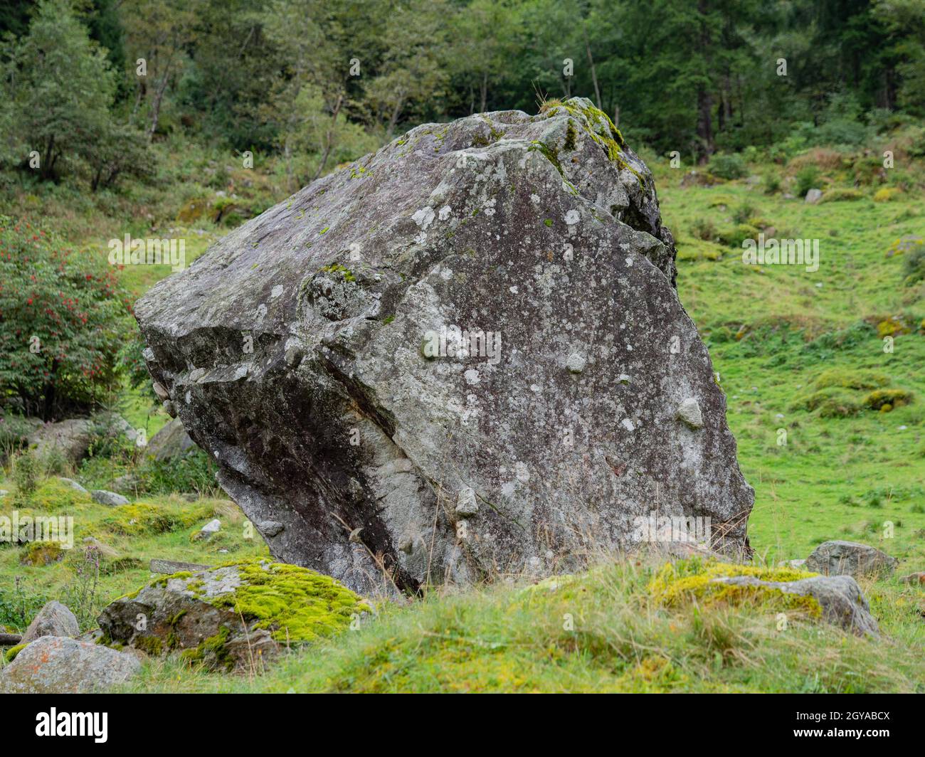 Landscape mountain pasture with rock formation Stock Photo - Alamy