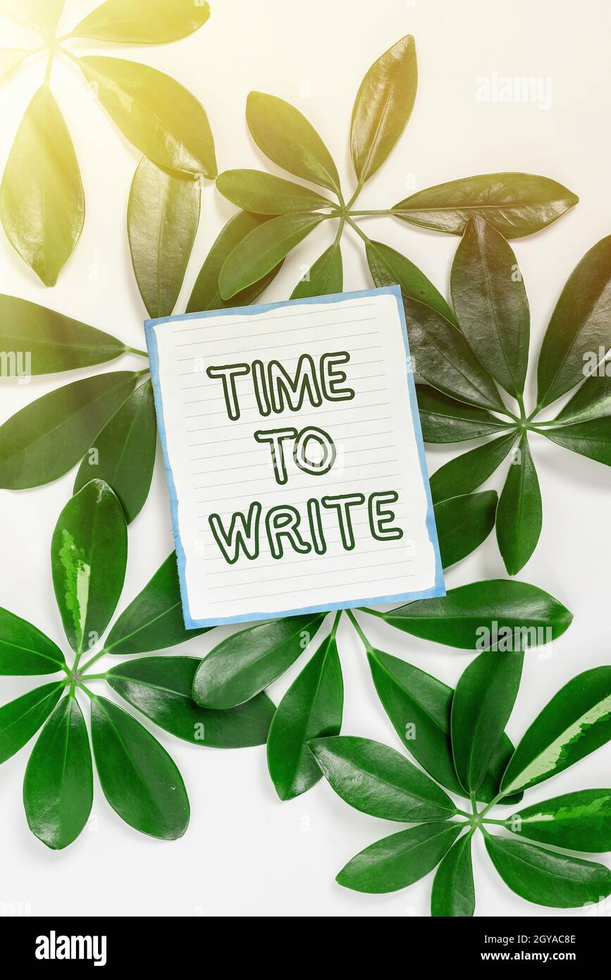 Conceptual Display Time To Write Business Overview To Record Something Or To Express An Idea In