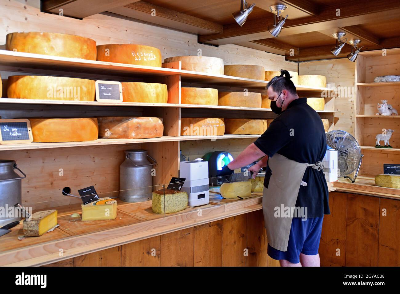 Artisan cheese maker cutting hand made traditional cheeses in ...