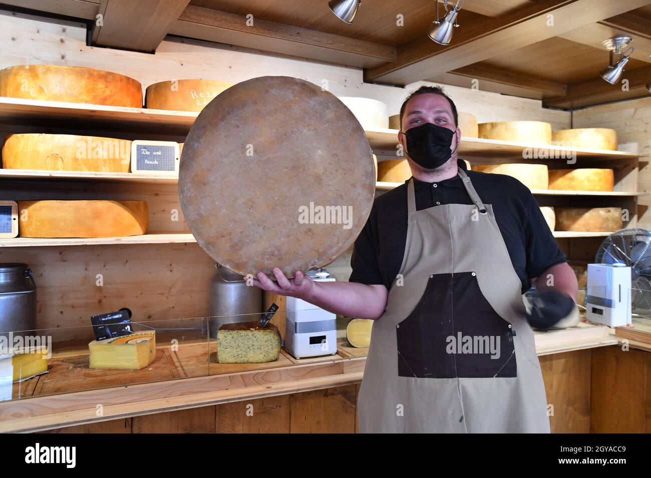 Artisan cheese maker cutting hand made traditional cheeses in ...