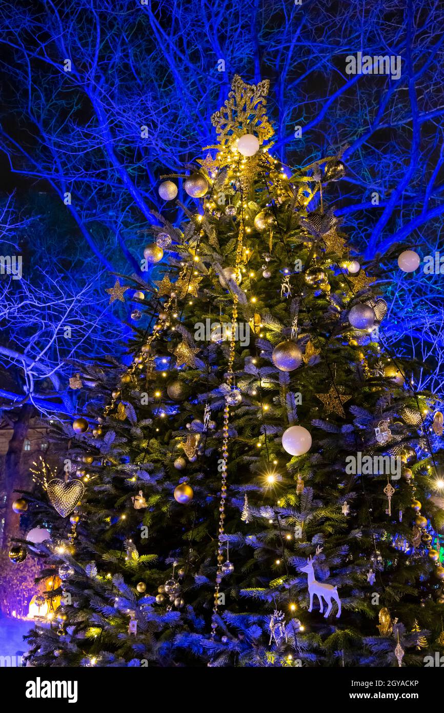 Christmas tree in vienna hi-res stock photography and images - Alamy