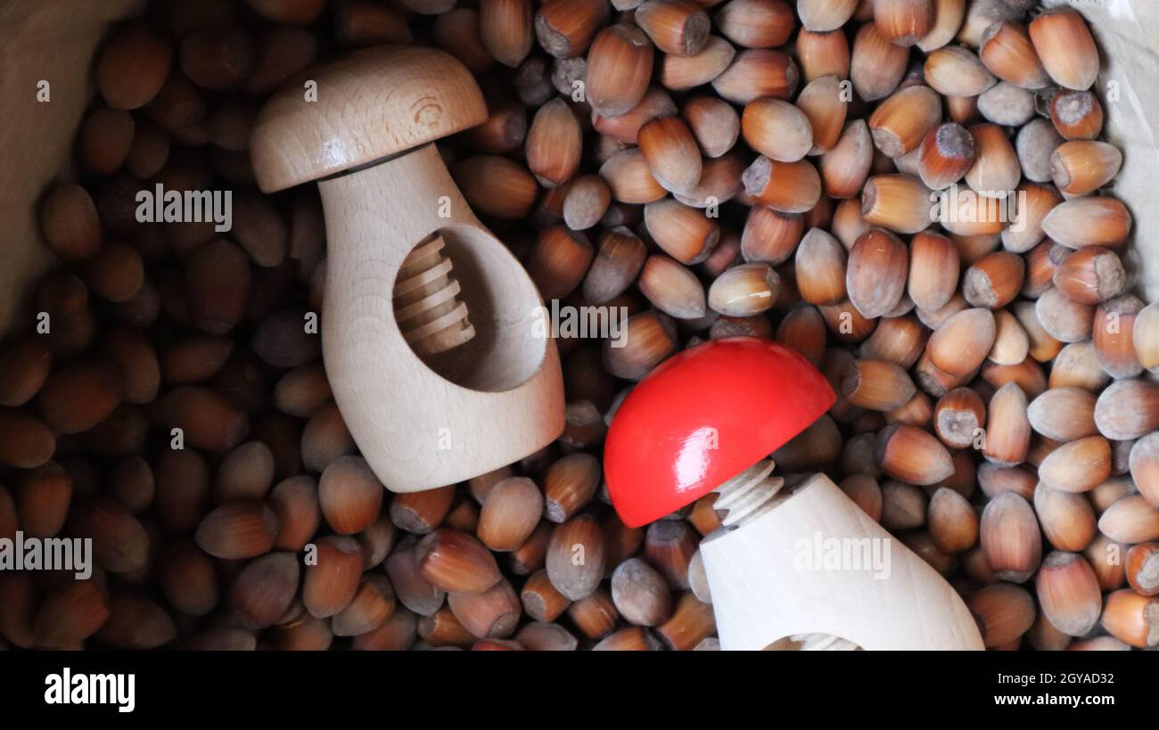 A lot of hazelnuts on burlap with a wooden mushroom-shaped nutcracker ...