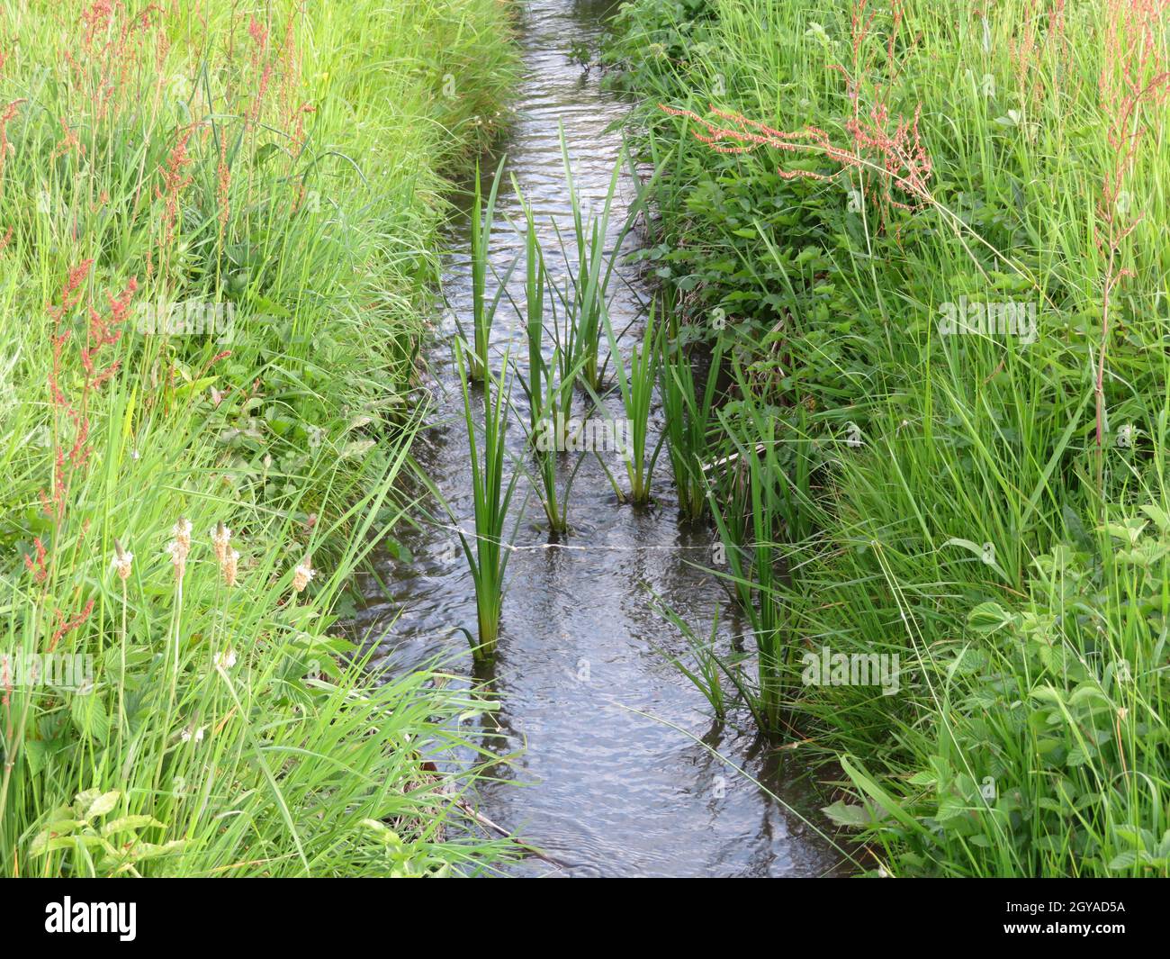 Beautiful mountain river water boiling hi-res stock photography and ...