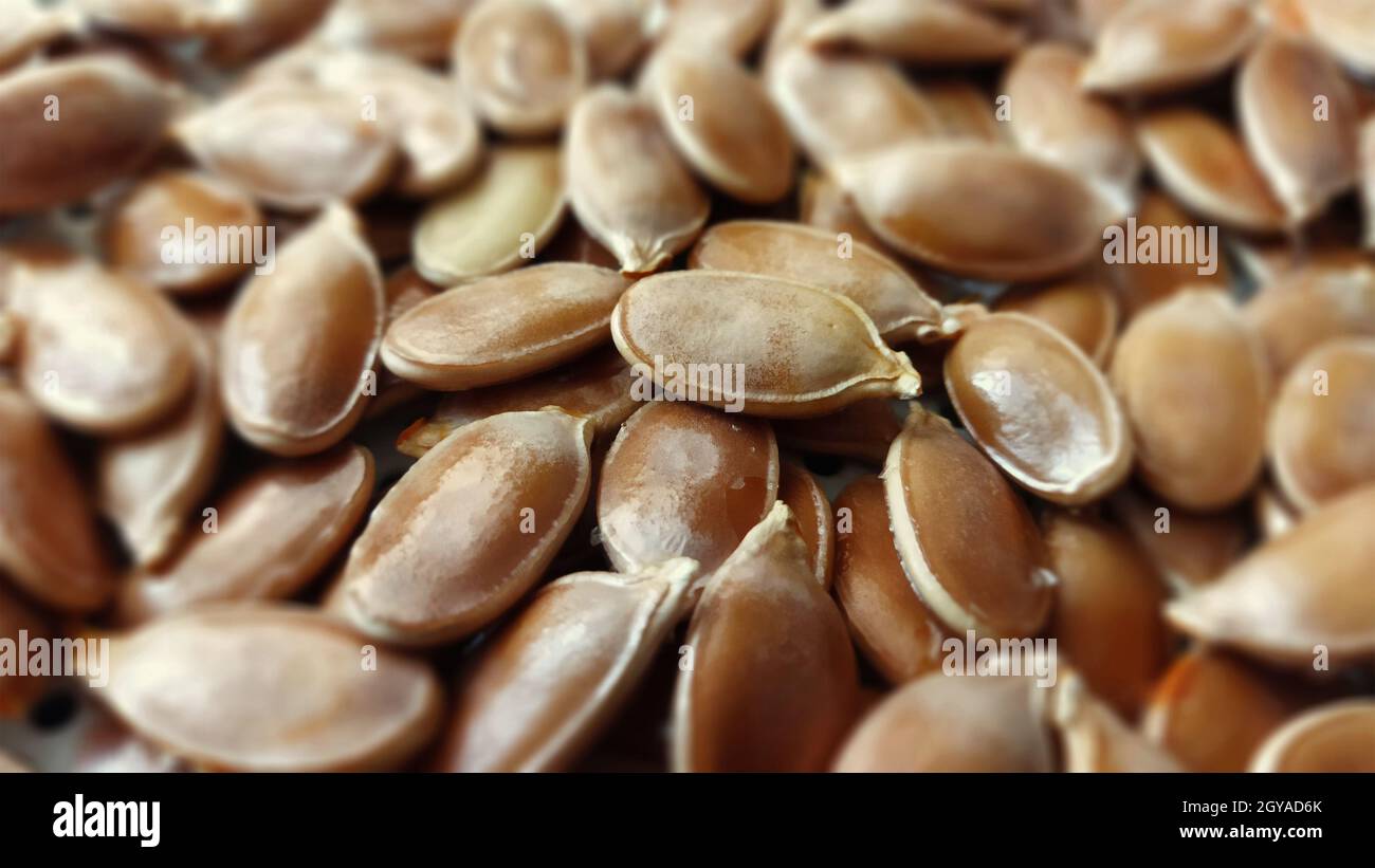 Macro photo of pumpkin seeds. Close-up. Background texture Stock Photo ...