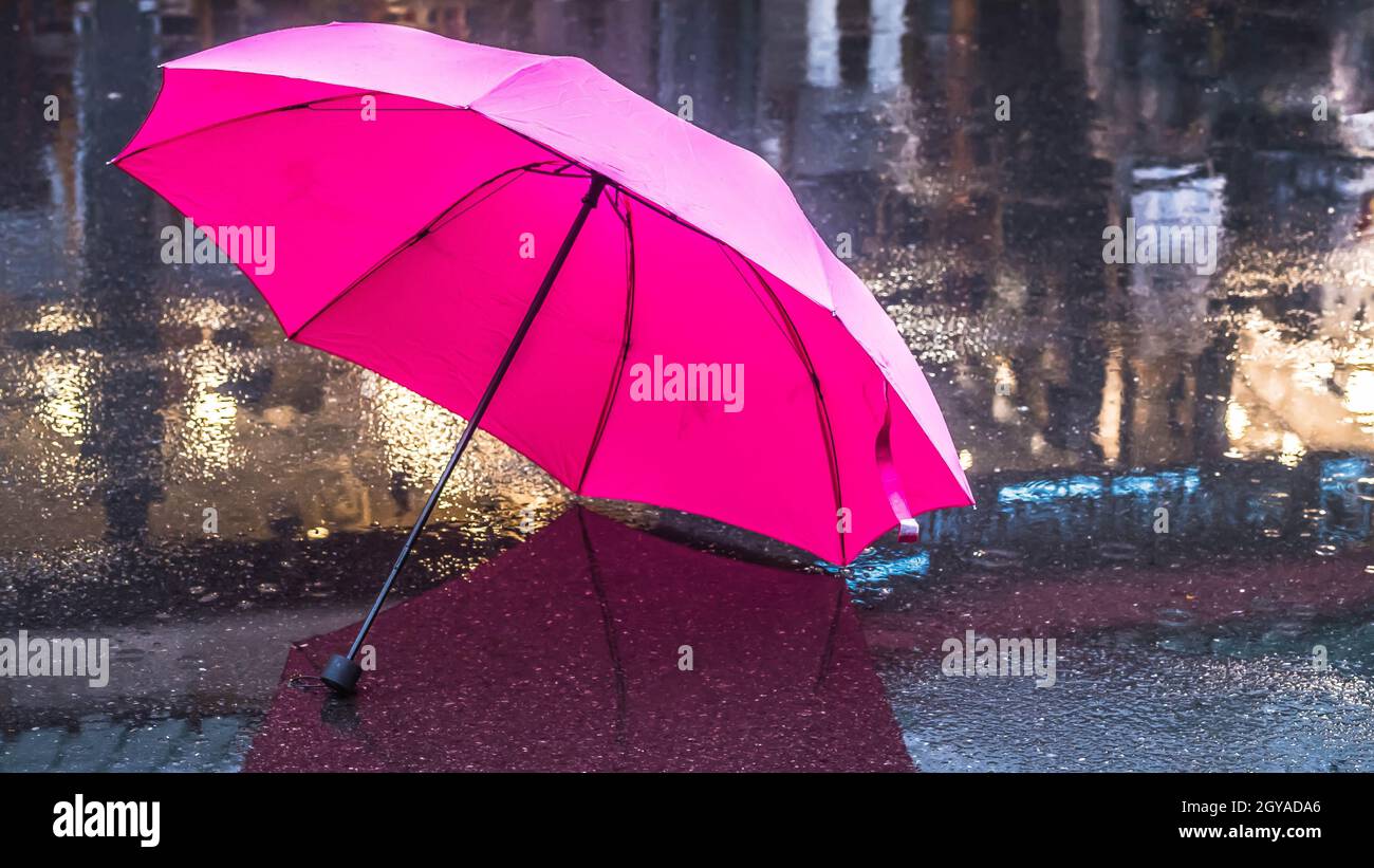 Pink Umbrella after the rain. Pink umbrella on the wet Stock Photo - Alamy