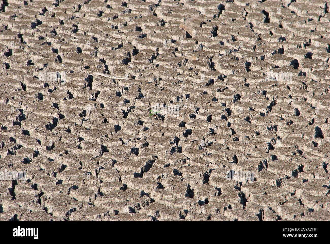 Land with dry and cracked ground. Desert, Global warming background ...