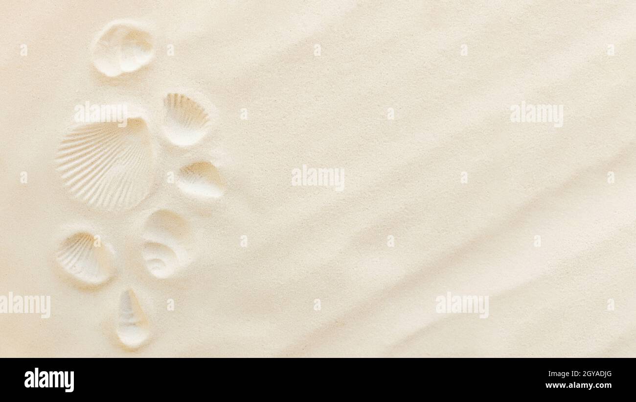 Travel flat lay, vacation concept. Sea shell print on sand and conch ...
