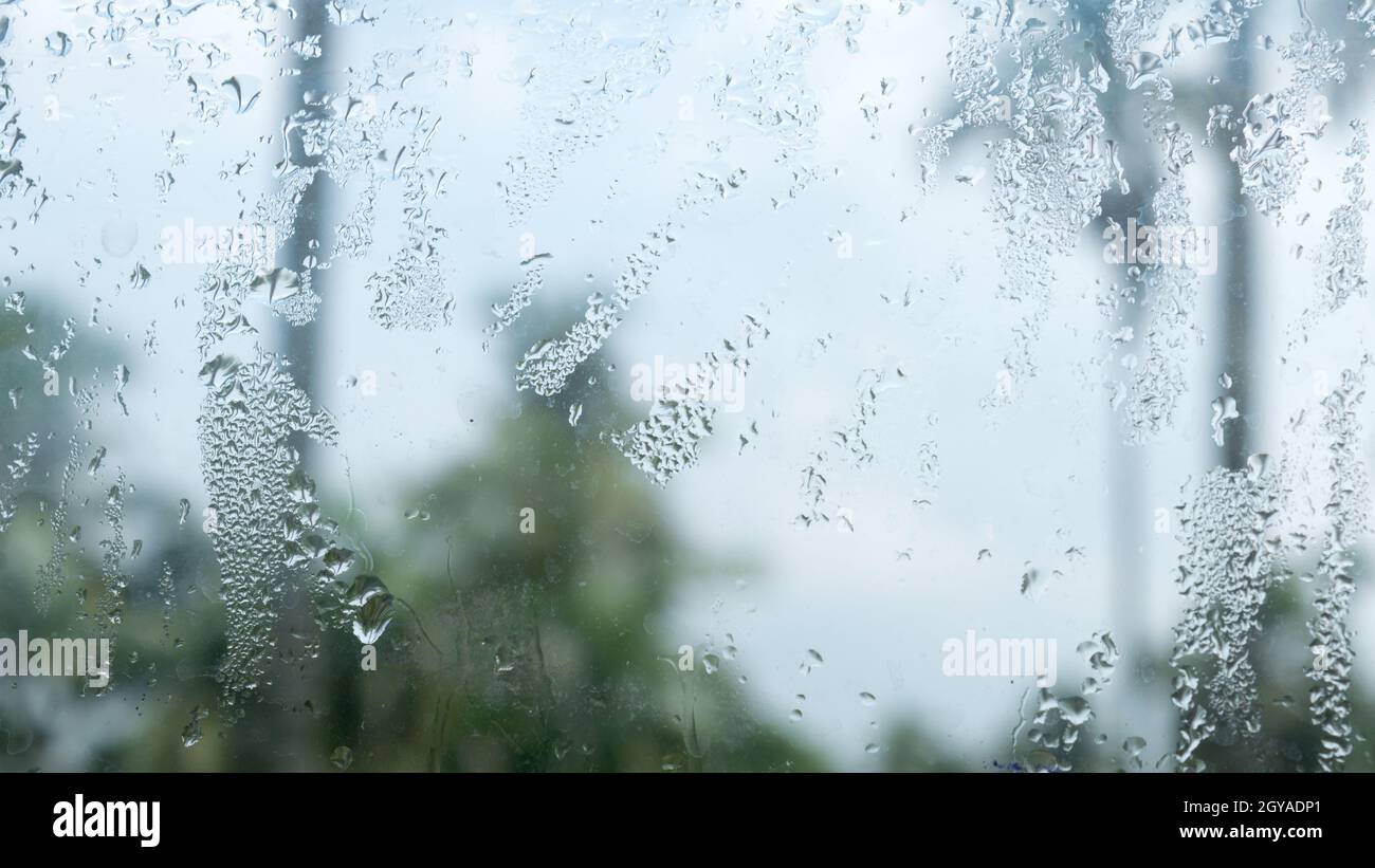 Raindrops Falling On Window