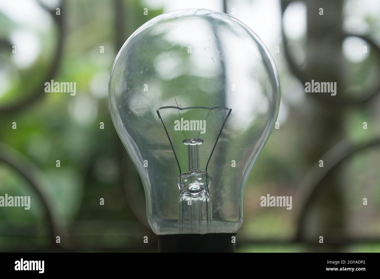 Closeup filament of Older style Incandescent Clear Light bulb isolated ...