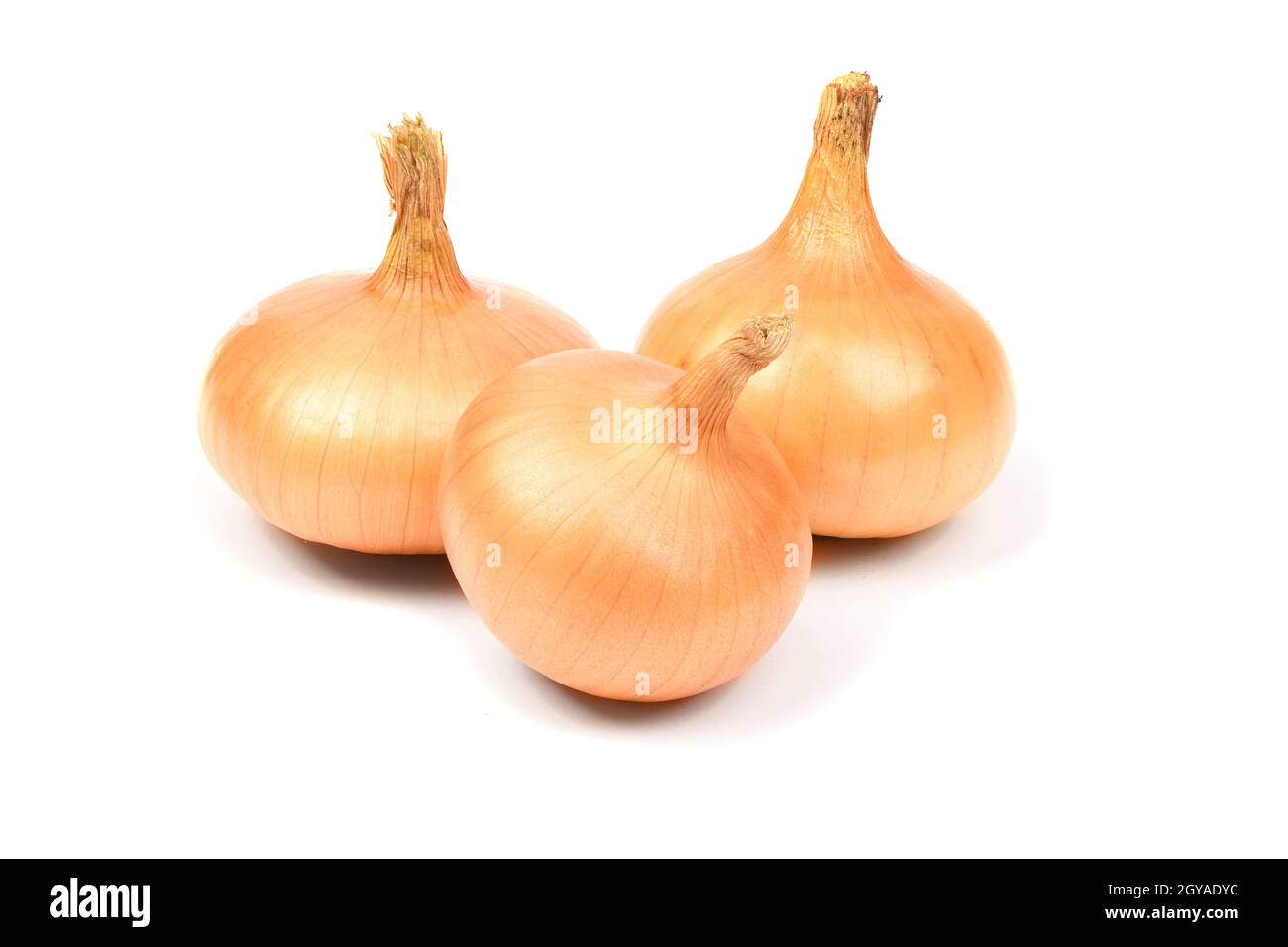 Yellow onion bulbs on white background. High resolution photo. Full ...