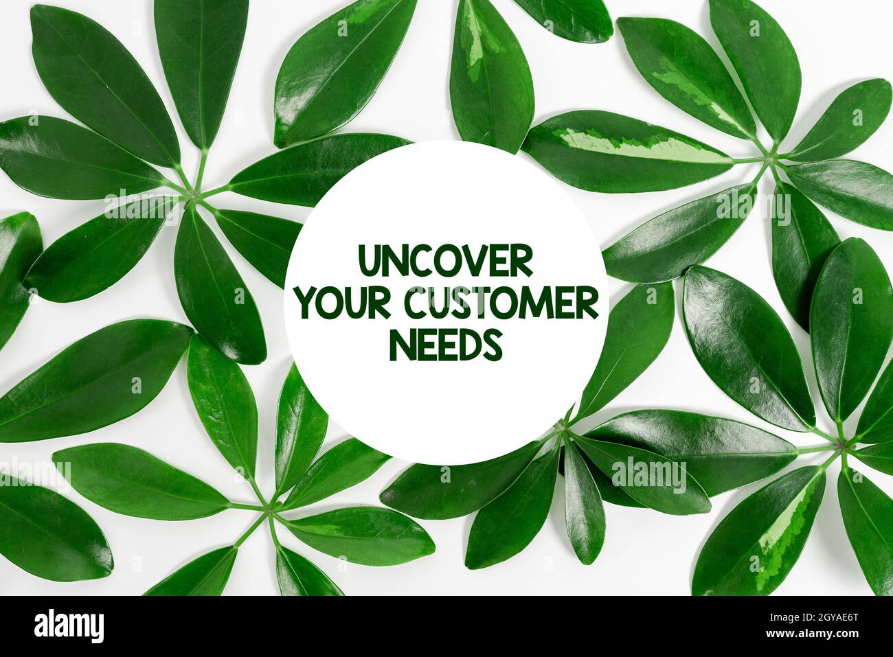 Text sign showing Uncover Your Customer Needs, Business showcase reveal ...