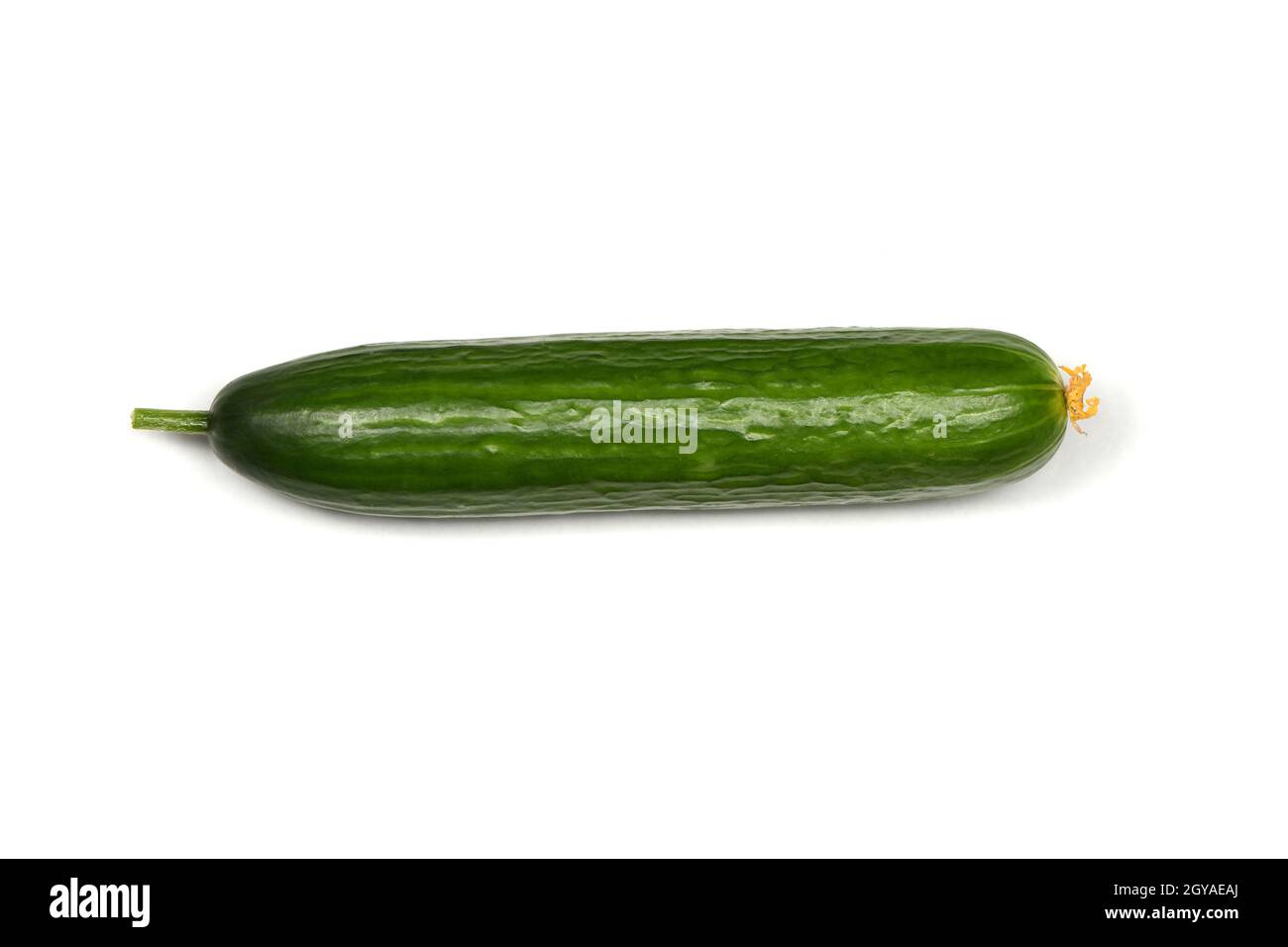 Fresh long cucumber over a white background. High resolution photo ...
