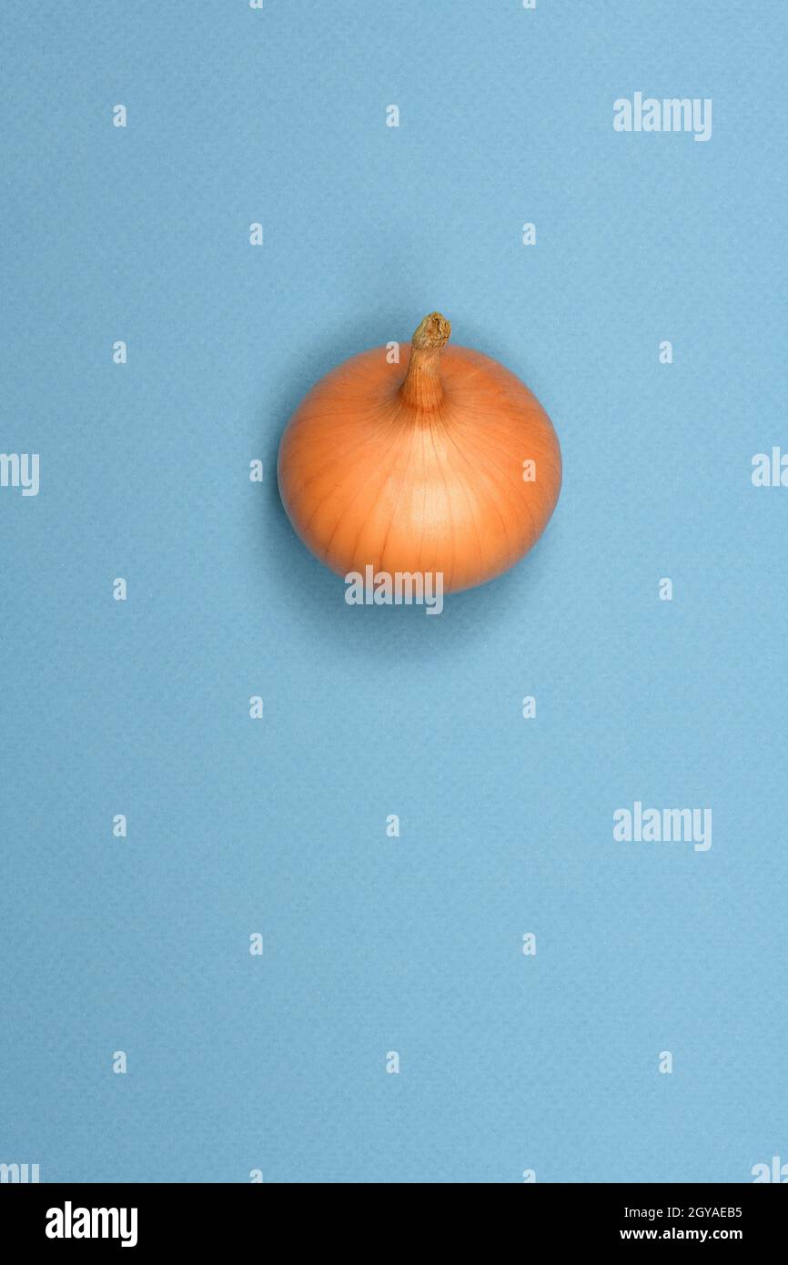 Yellow onion bulbs on blue background. High resolution photo. Full ...