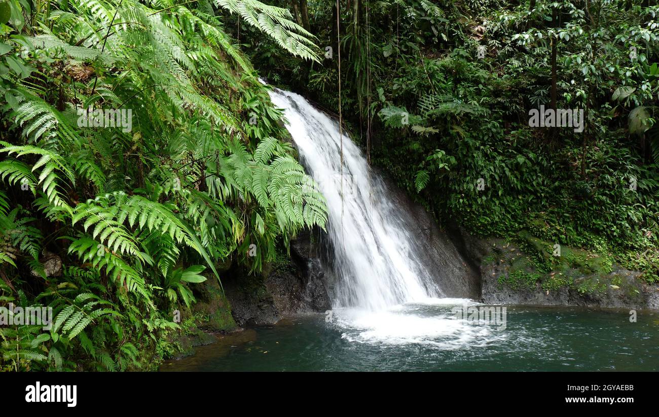 Waterfall in the tropics Stock Photo - Alamy