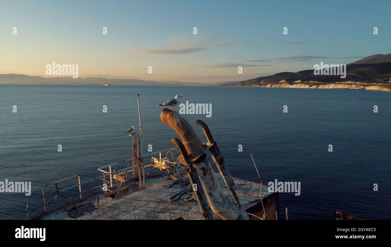 Close-up of old and destroyed ship trunk and gull sitting on a rusty ...
