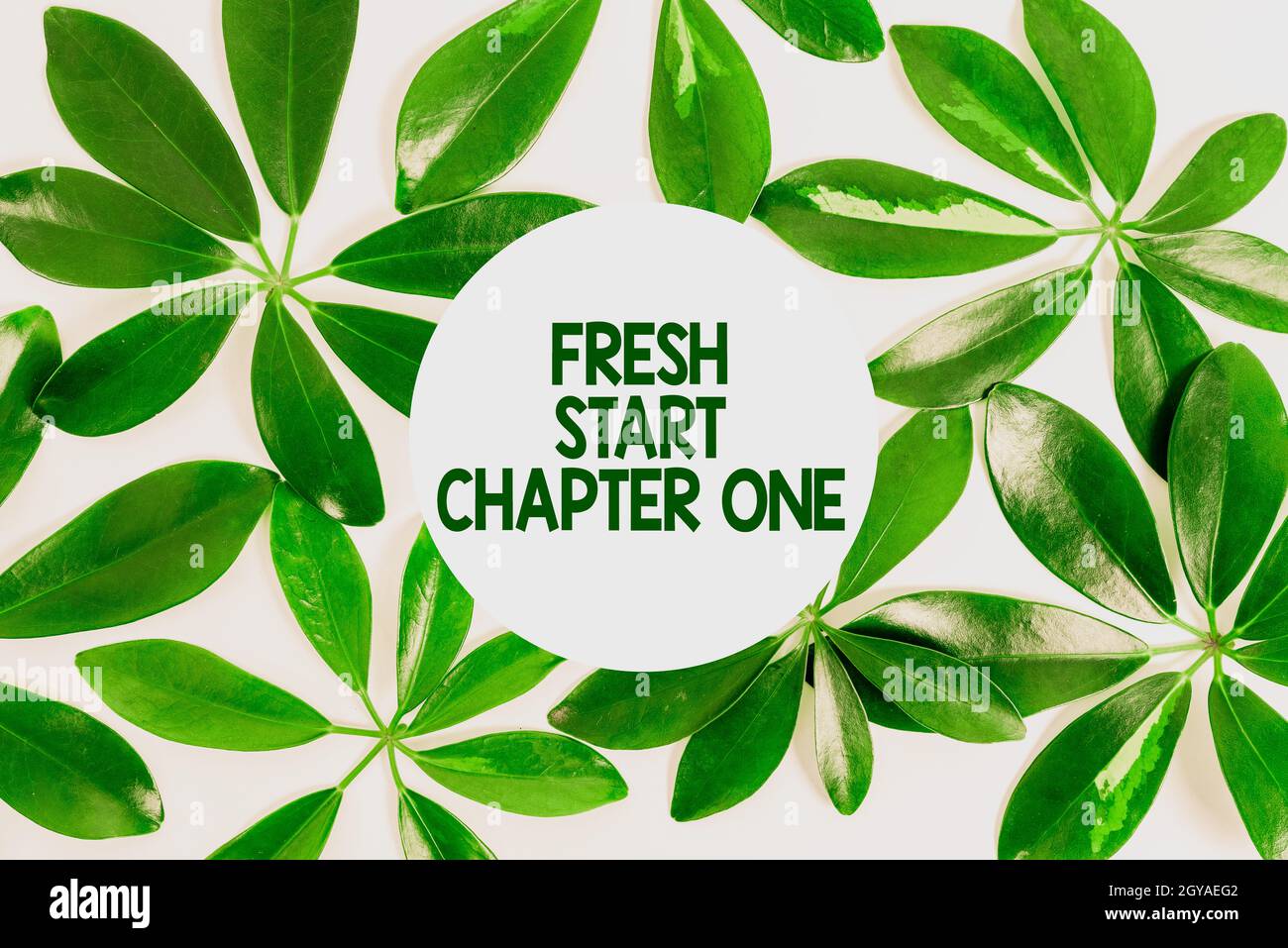 Conceptual display Fresh Start Chapter One, Concept meaning changes in ...