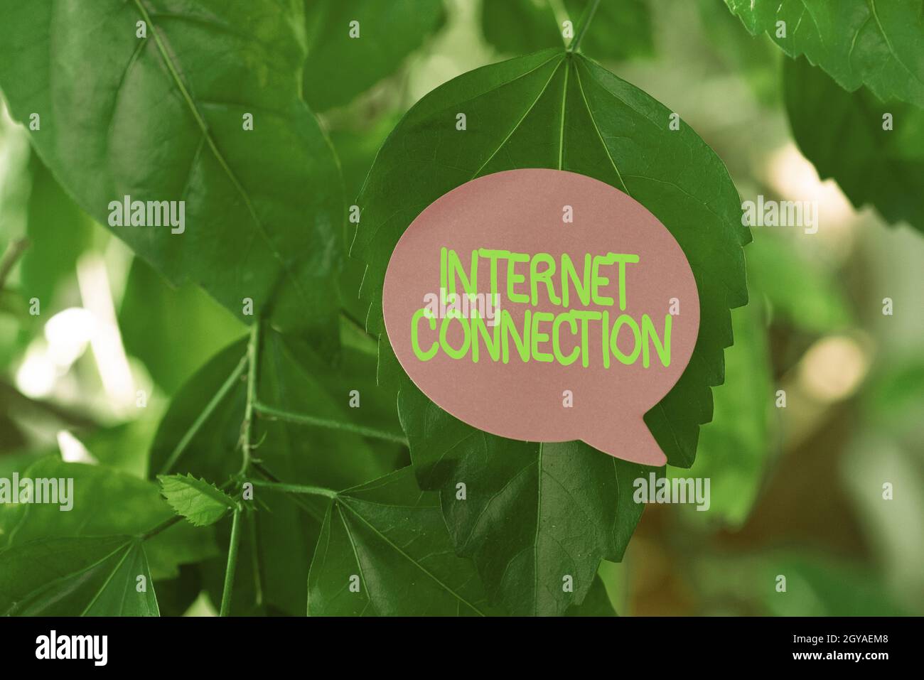 Sign displaying Internet Connection, Business overview The way one ...