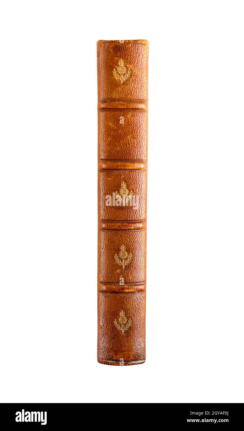 Old Book Spine Texture