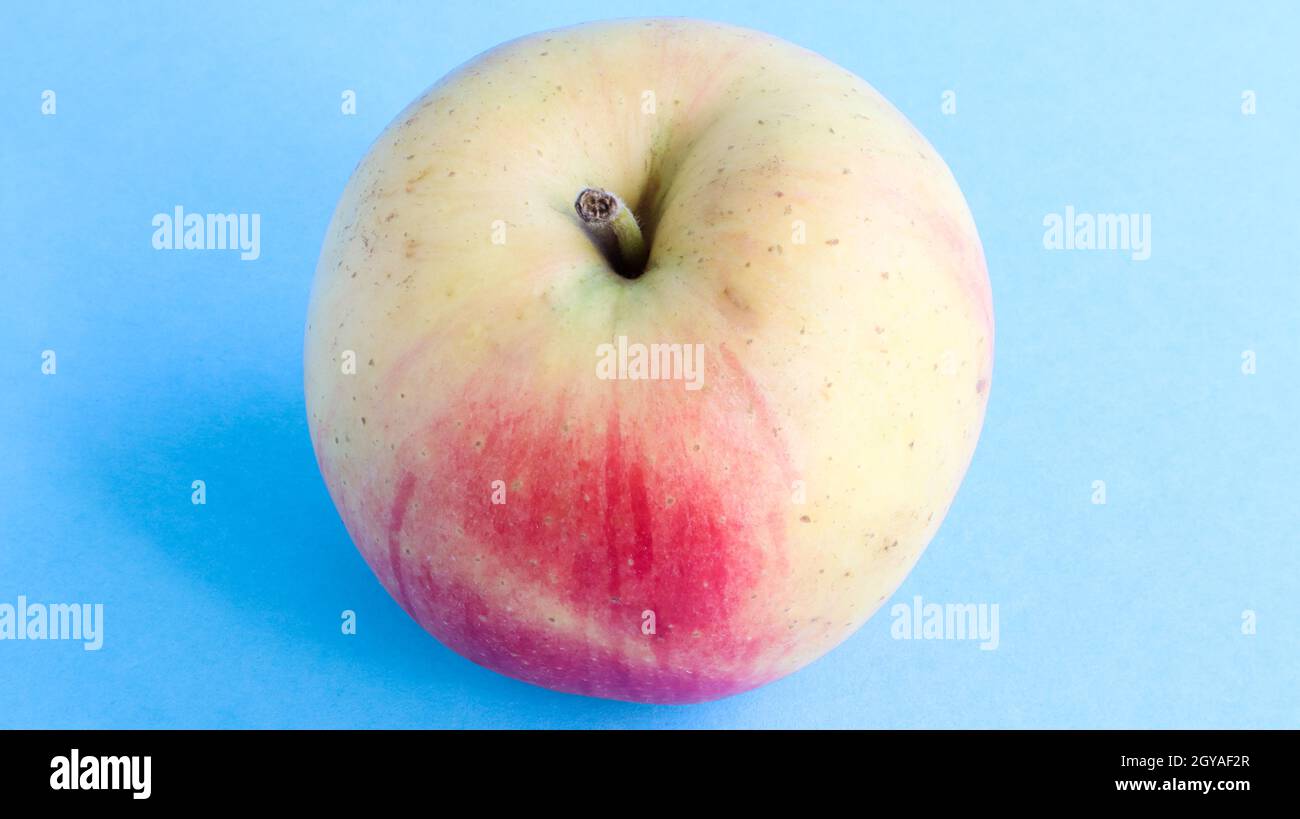 One beautiful, appetizing and fresh apple on a blue background. Healthy ...
