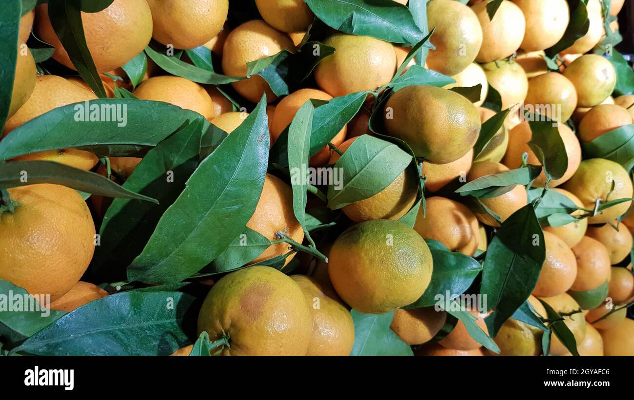 A lot of fresh yellow mandarin with green leaves in the market, fruits ...