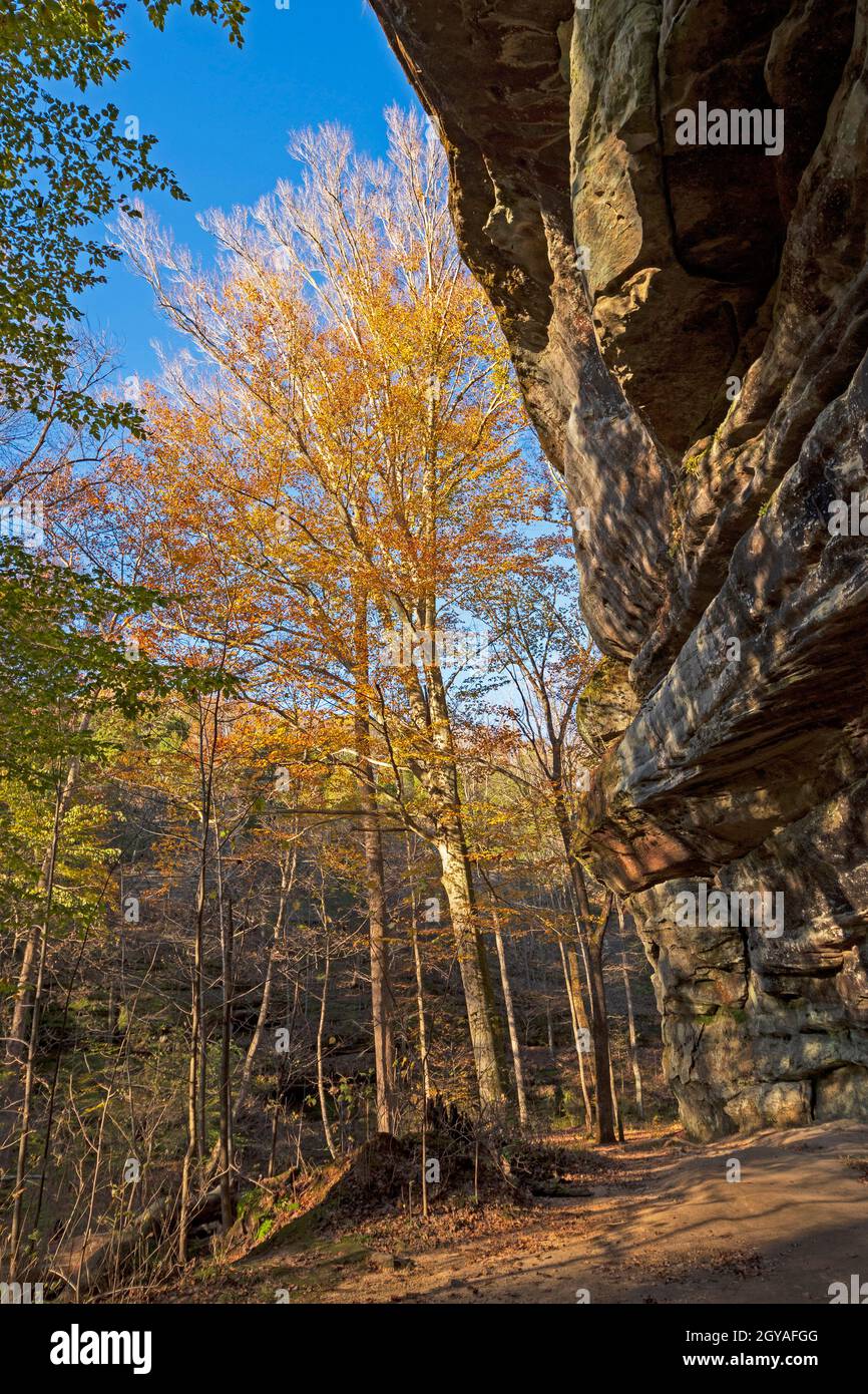 Fall Colors Peeking Out From A Dramatic Overhang on the Rim Rock ...
