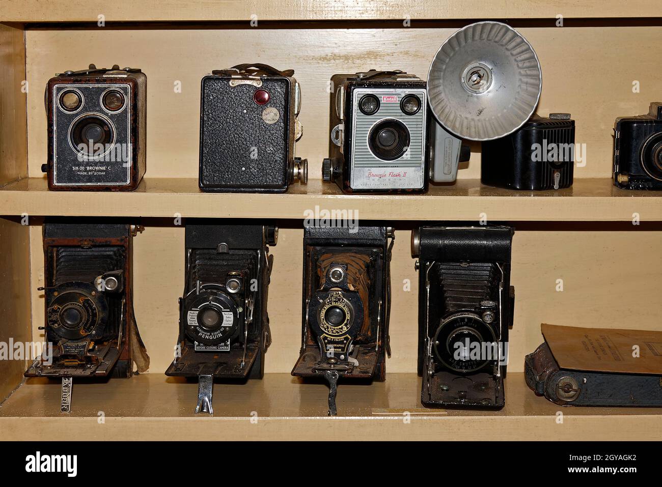 antique cameras, 2 shelves, display, old, photography, Black's Point ...