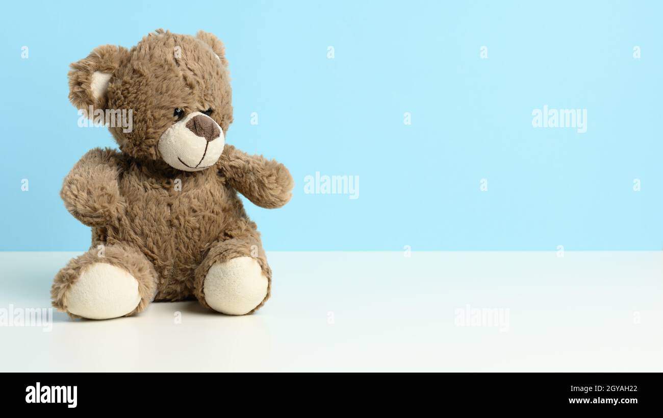 cute brown teddy bear sitting on a white table, blue background, place ...