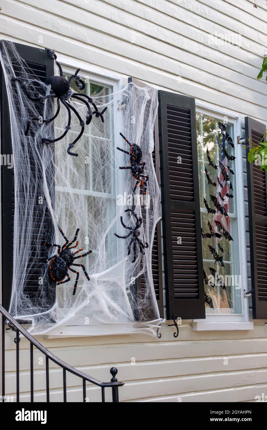 Spider town hi-res stock photography and images - Alamy