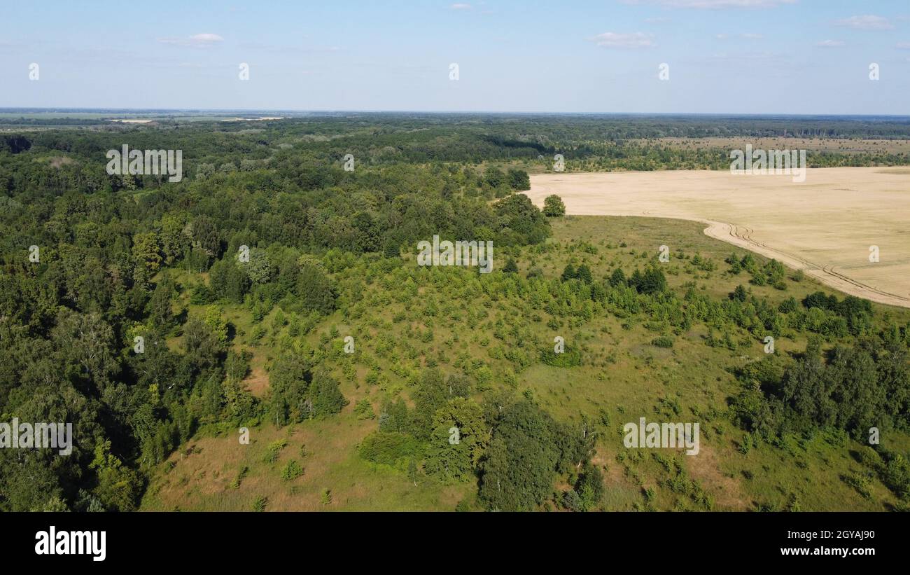Small grove of trees in a field hi-res stock photography and images - Alamy