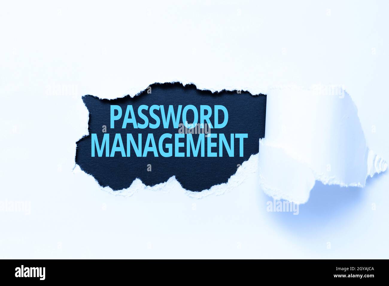 Inspiration showing sign Password Management, Internet Concept software ...