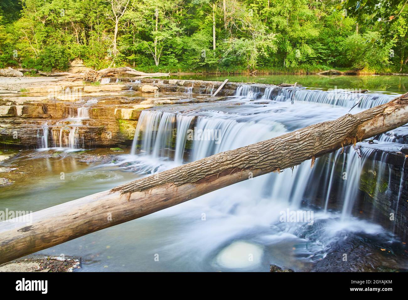 Serene waterfall with log and forest Stock Photo - Alamy