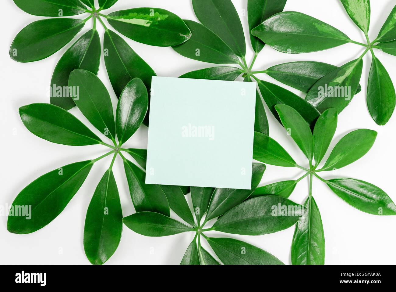 Saving Environment Ideas And Plans, Creating Sustainable Products Stock ...