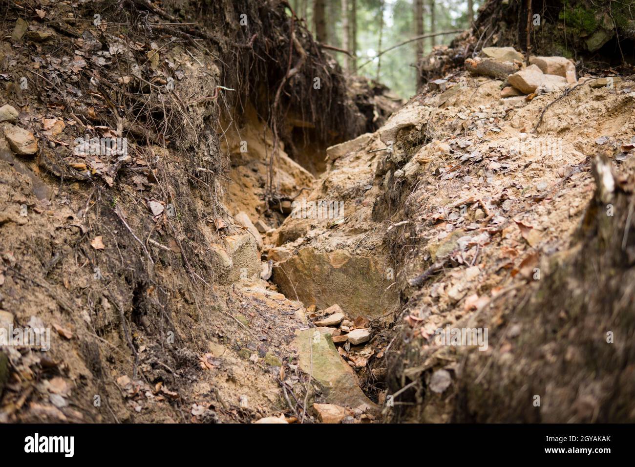 small empty valley of a seasonal stream inside of a forest Stock Photo ...