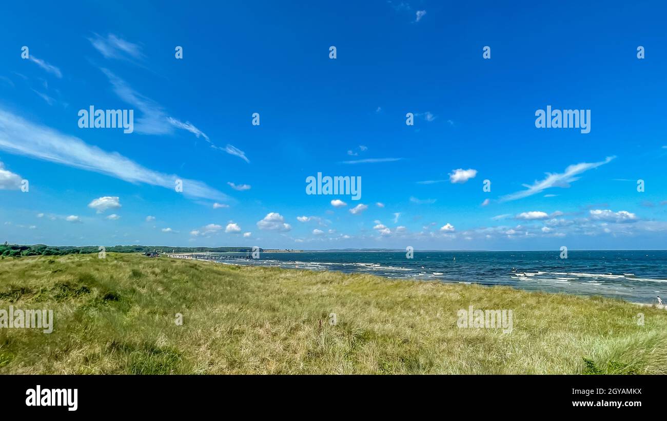 Dunes on the German Baltic coast Stock Photo - Alamy