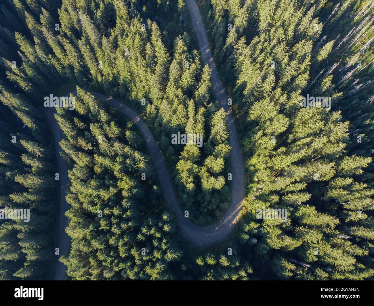 Aerial view over mountain road going through forest landscape Stock ...